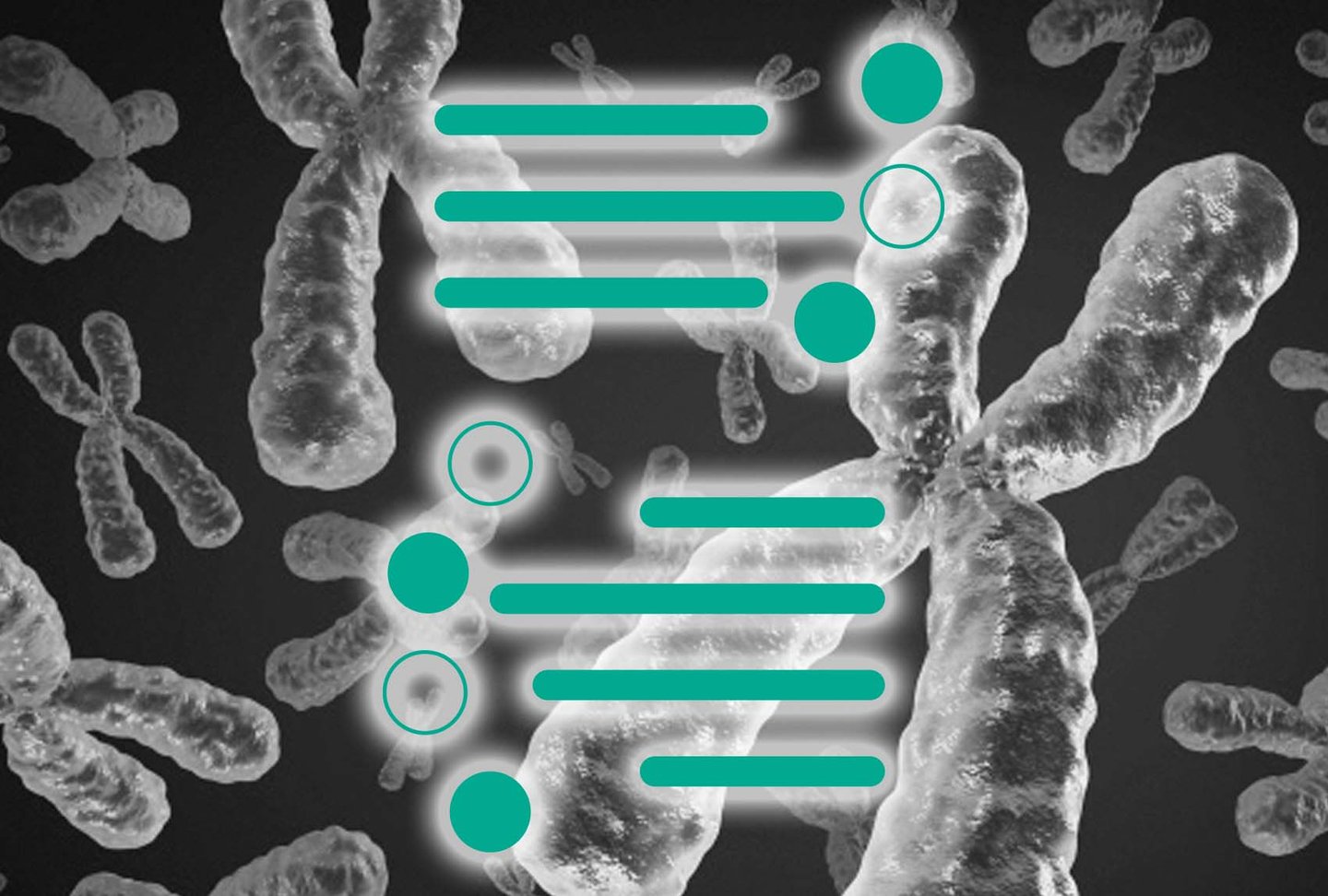 Áreas del laboratorio
