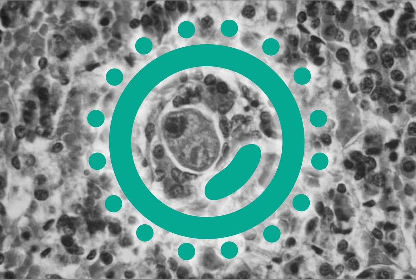 Áreas del laboratorio