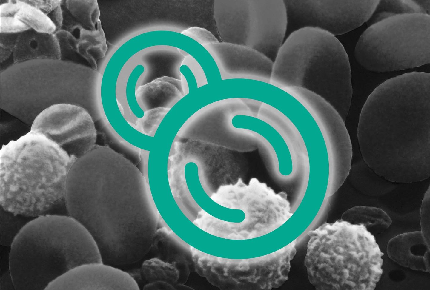 Áreas del laboratorio