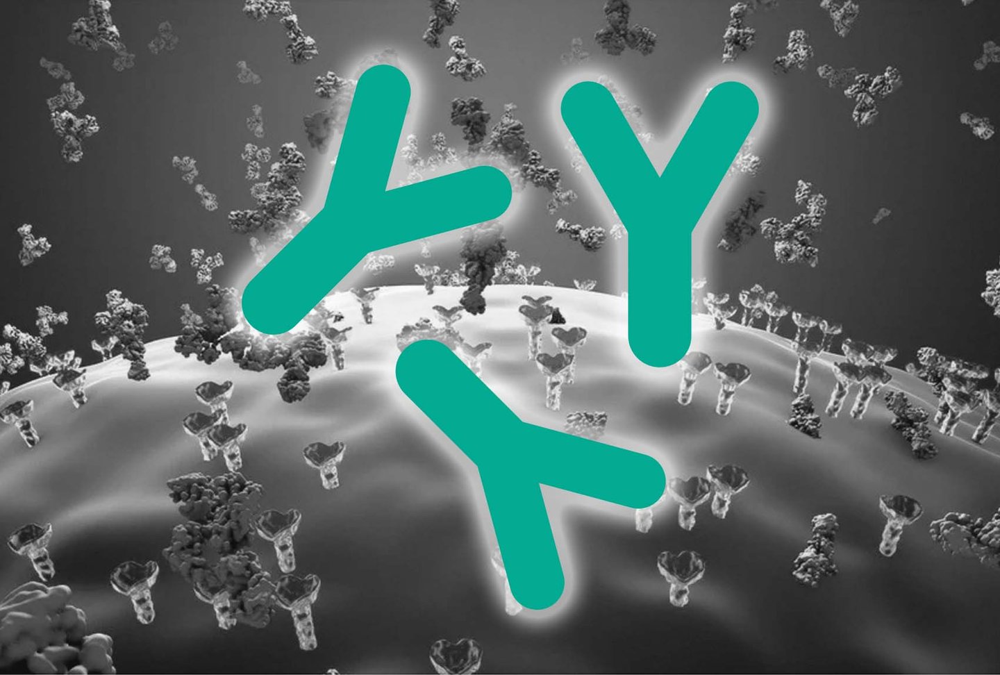 Áreas del laboratorio