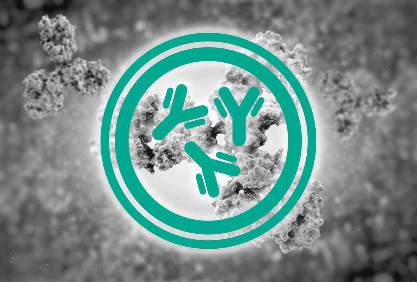 Áreas del laboratorio