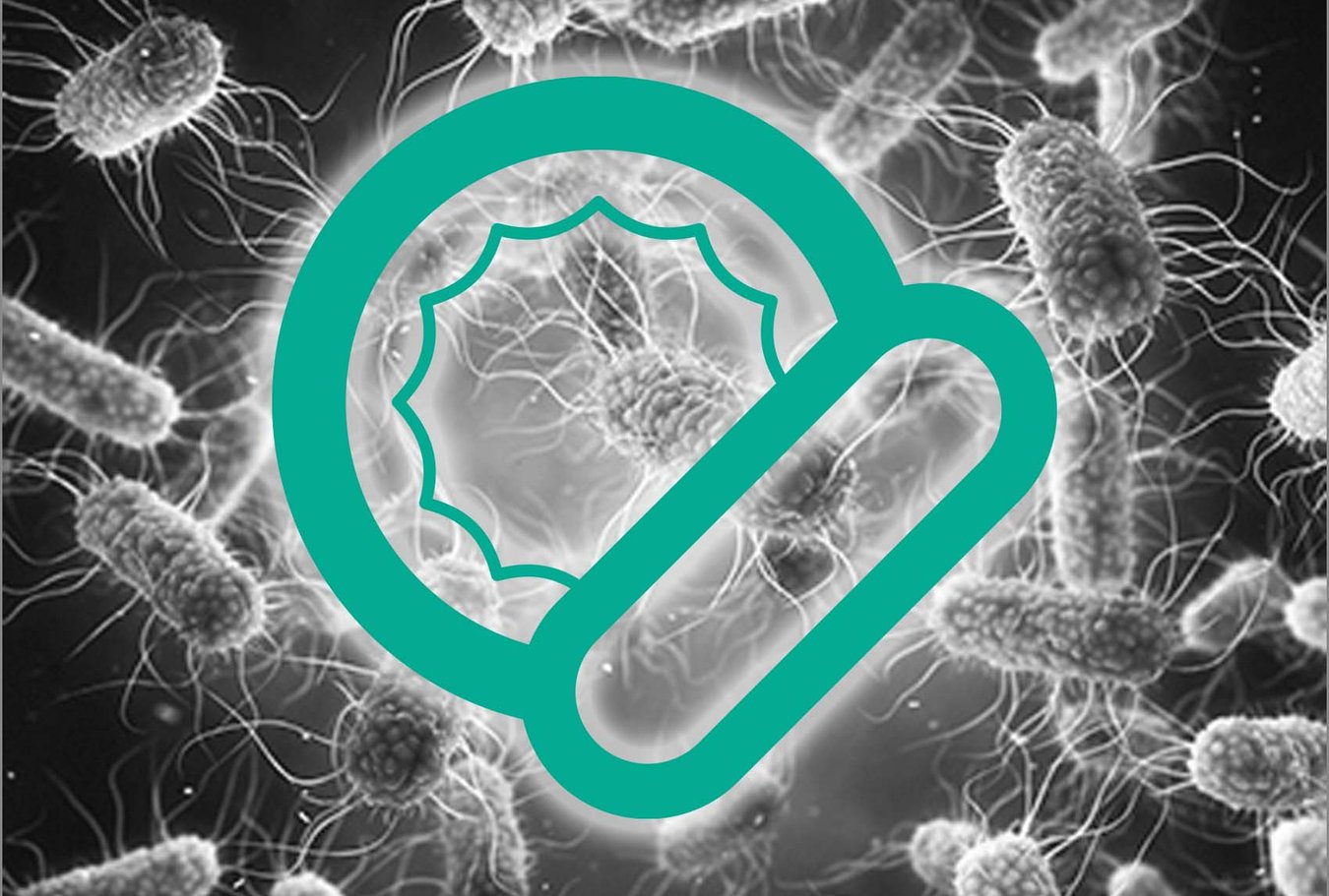 Áreas del laboratorio