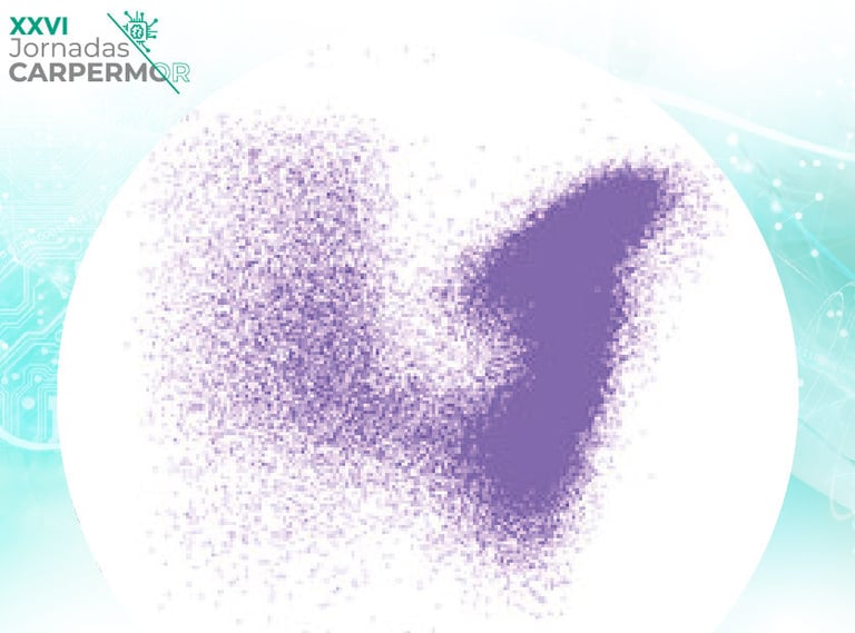 XXVI Jornadas CARPERMOR - Trabajos de investigación