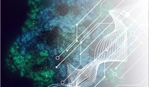 Trabajos de investigación | XXIV Jornadas CARPERMOR | Jornadas de Carpermor