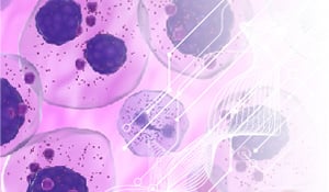 Trabajos de investigación | XXIV Jornadas CARPERMOR | Jornadas de Carpermor