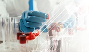 Trabajos de investigación | XXIV Jornadas CARPERMOR | Jornadas de Carpermor