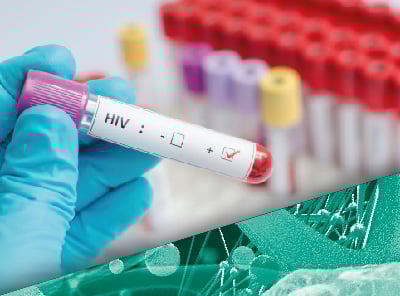 XXV Jornadas CARPERMOR - Trabajos de investigación